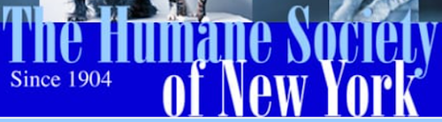 The Humane Society of New York - Wikitia